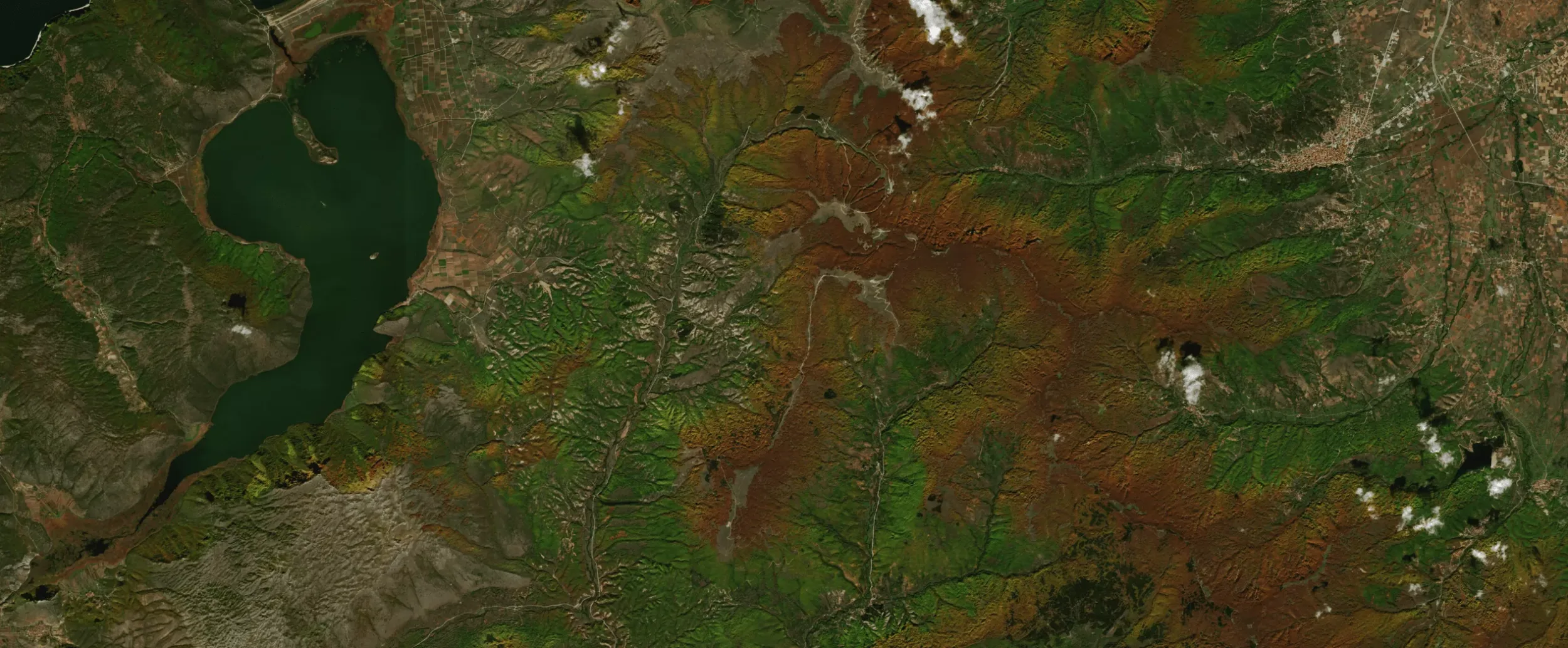 Continuous Forest Monitoring Prototype - EvoLand