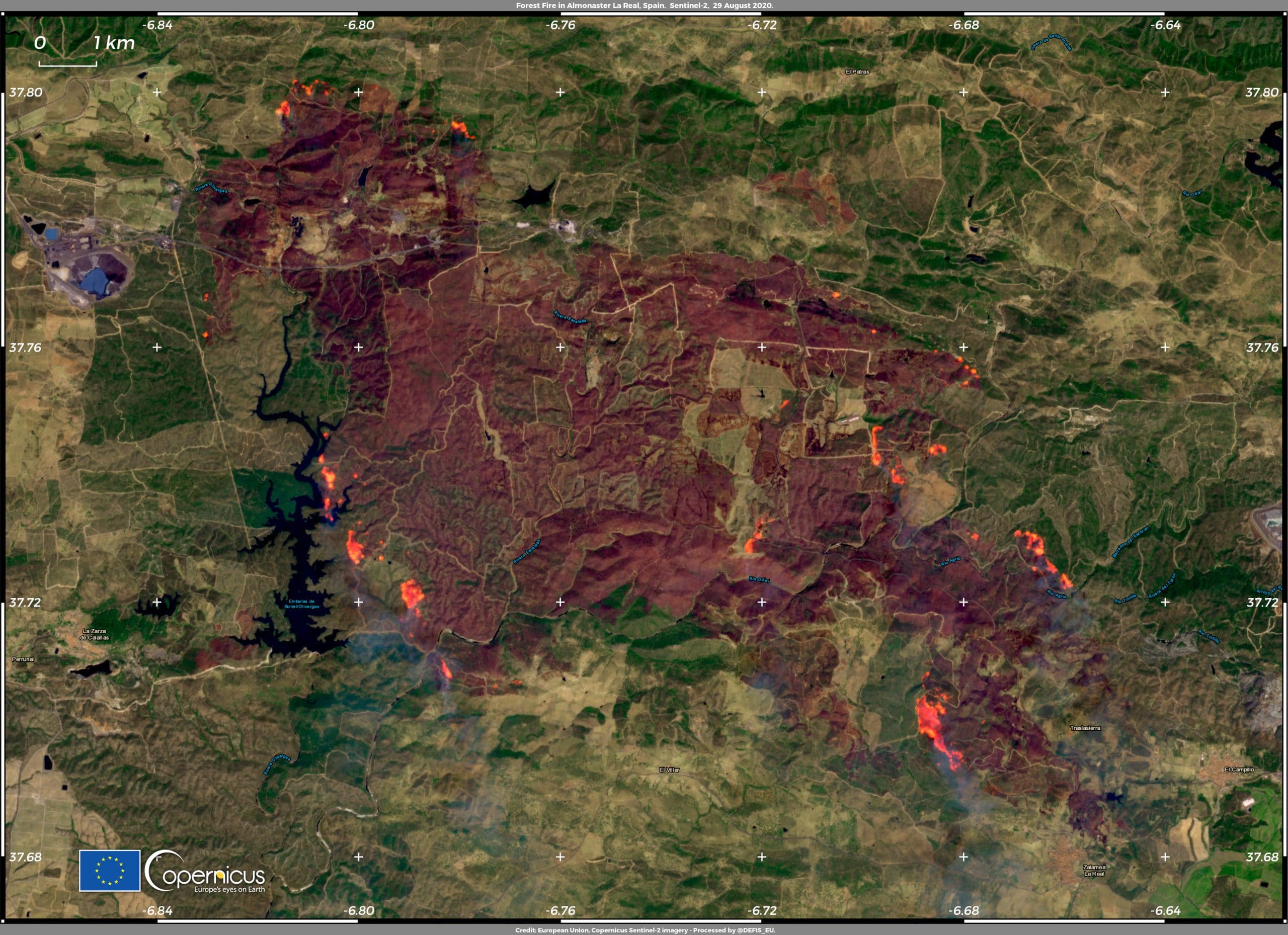 Detecting forest disturbance with Earth Observation - EvoLand