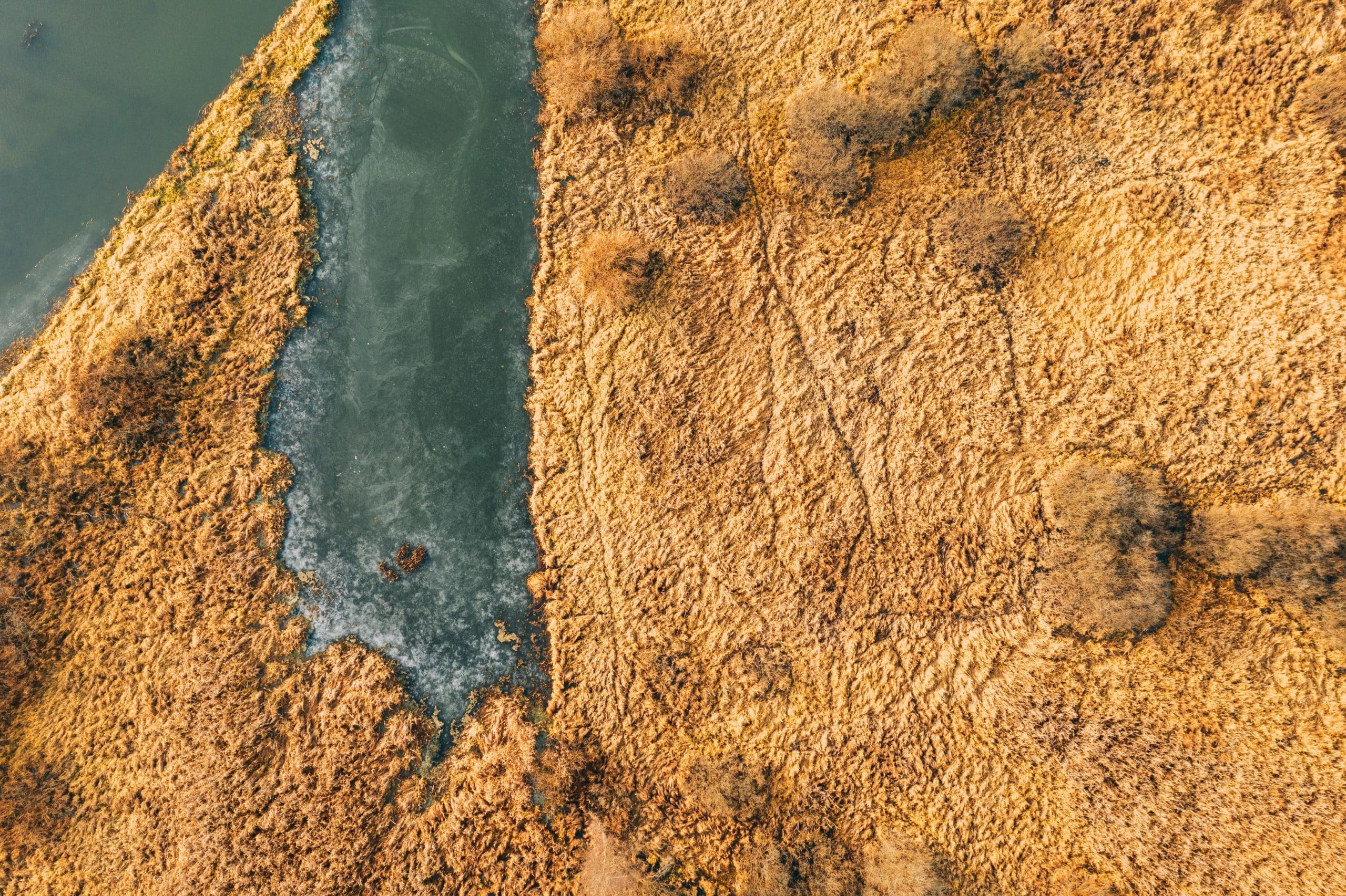 Super-resolution, real challenges: EvoLand at LPS 25 - EvoLand